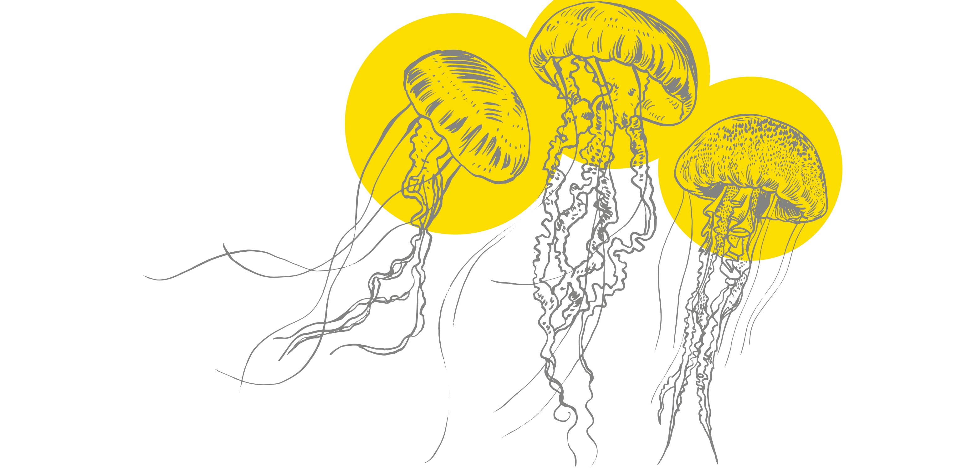 How Evolution Uses Natural Selection to Build Organisms | Intelligent ...